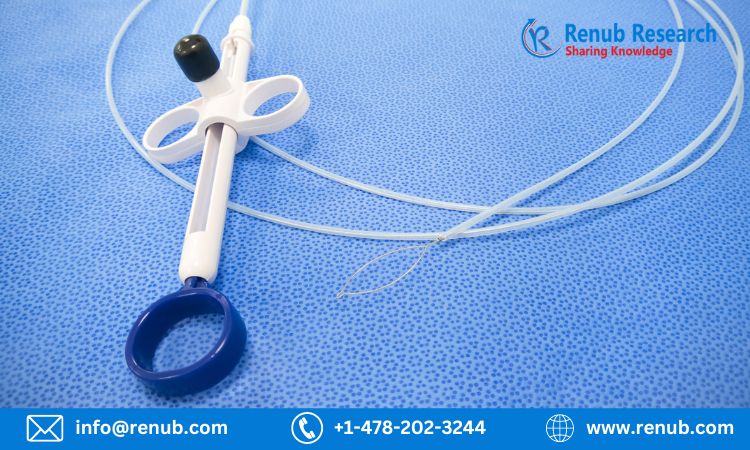 Single Use-Disposable Endoscopes Market, Size, Share, Growth | Forecast ...